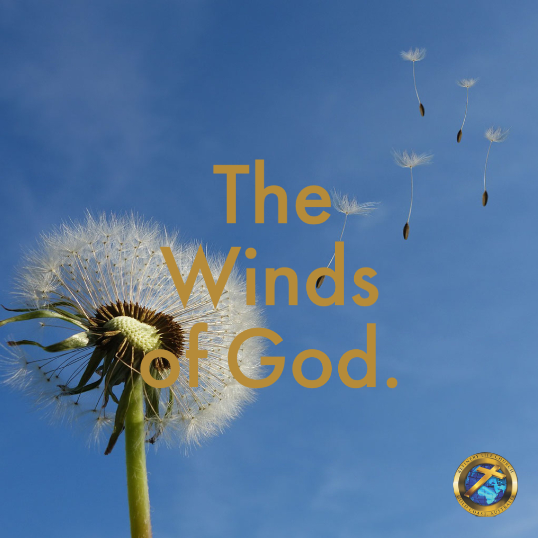 The Winds of God. - Refinery Life