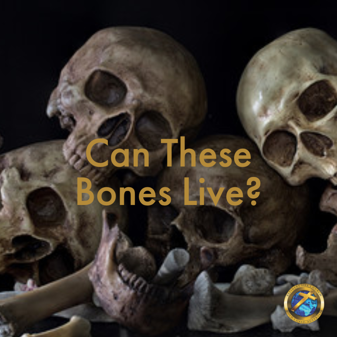 Can These Bones Live? - Refinery Life