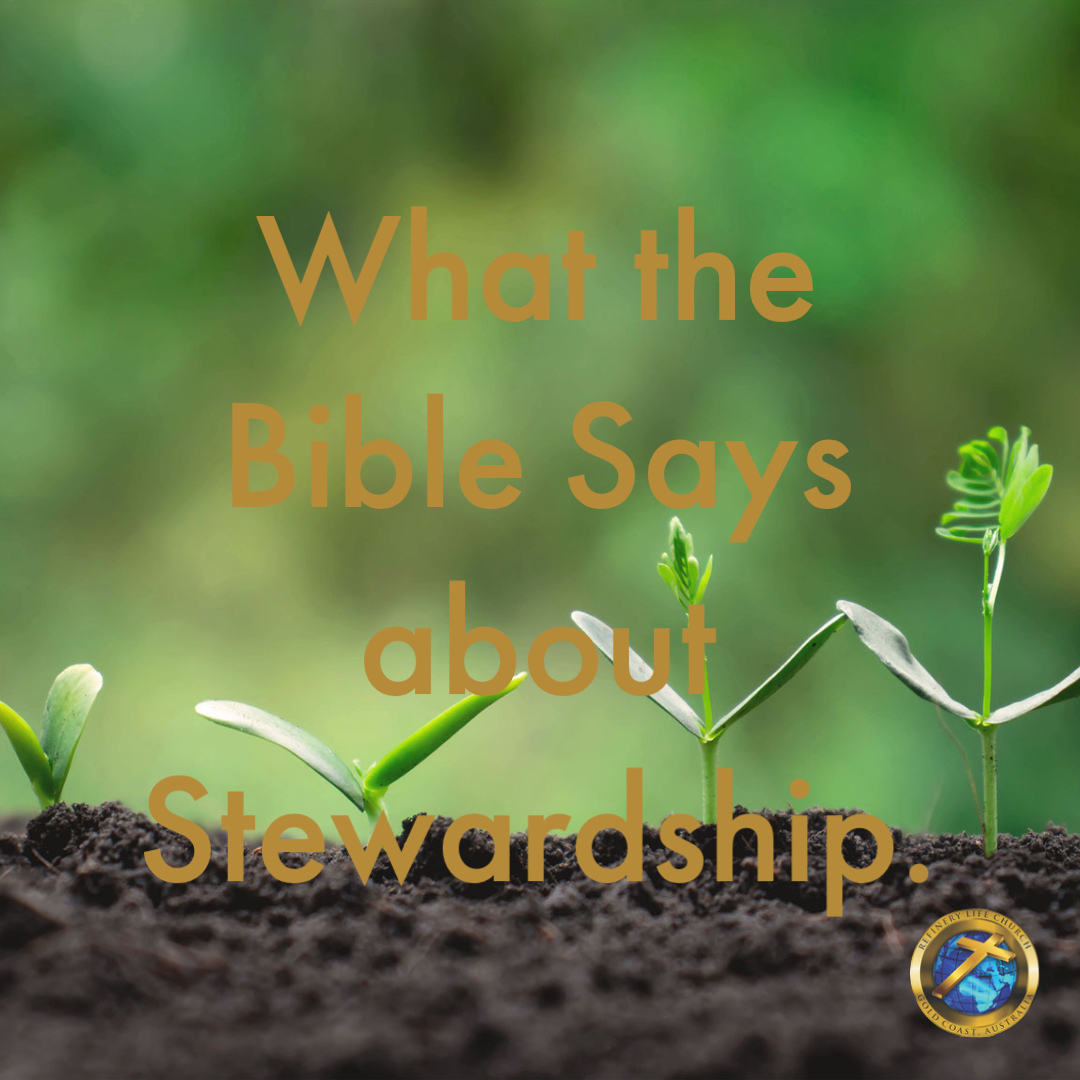 What the Bible Says about Stewardship. - Refinery Life